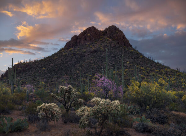 Desert Playground | David Thompson Photography