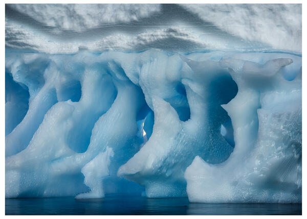 Antarctica - The Frozen Continent | David Thompson Photography