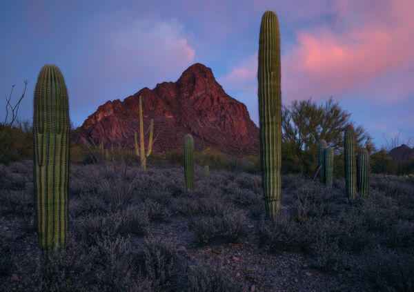 Desert Playground | David Thompson Photography