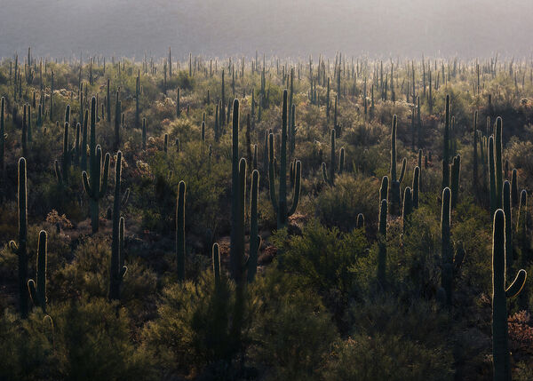 Desert Playground | David Thompson Photography