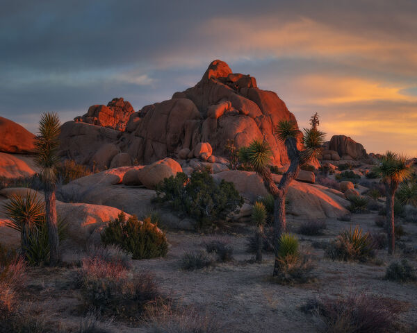 Desert Playground | David Thompson Photography