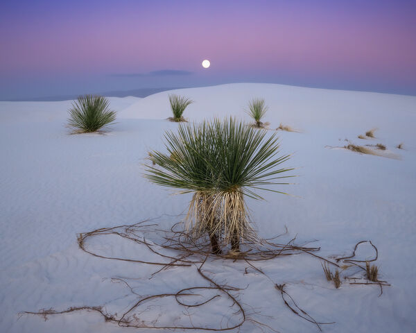 Desert Playground | David Thompson Photography