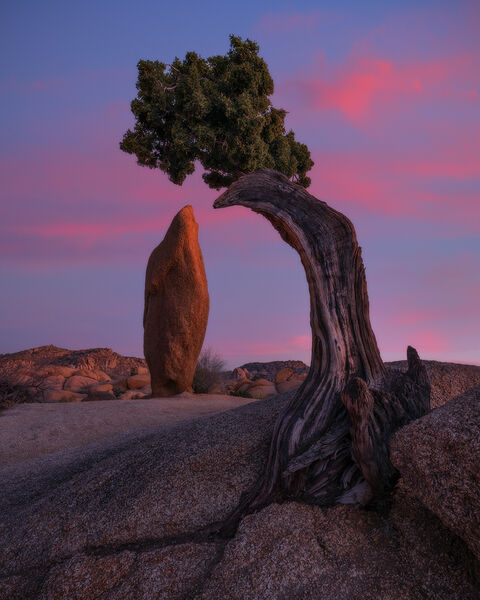 Desert Playground | David Thompson Photography