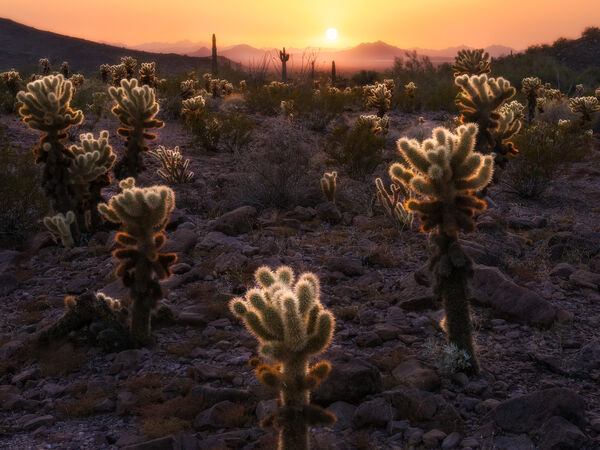 Desert Playground | David Thompson Photography