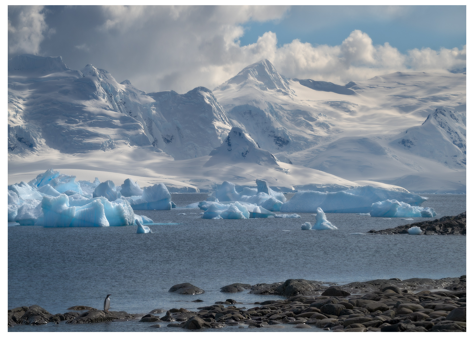 Image Galleries | David Thompson Photography