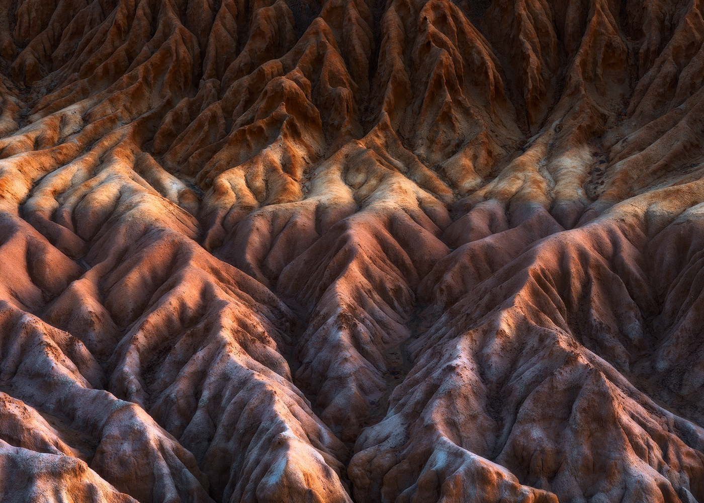 Deep Textures | Torrey Pines, California |2014| | David Thompson Photography